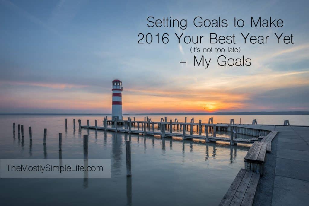 Setting Goals to Make 2016 Your Best Year Yet + My Goals - The (mostly ...