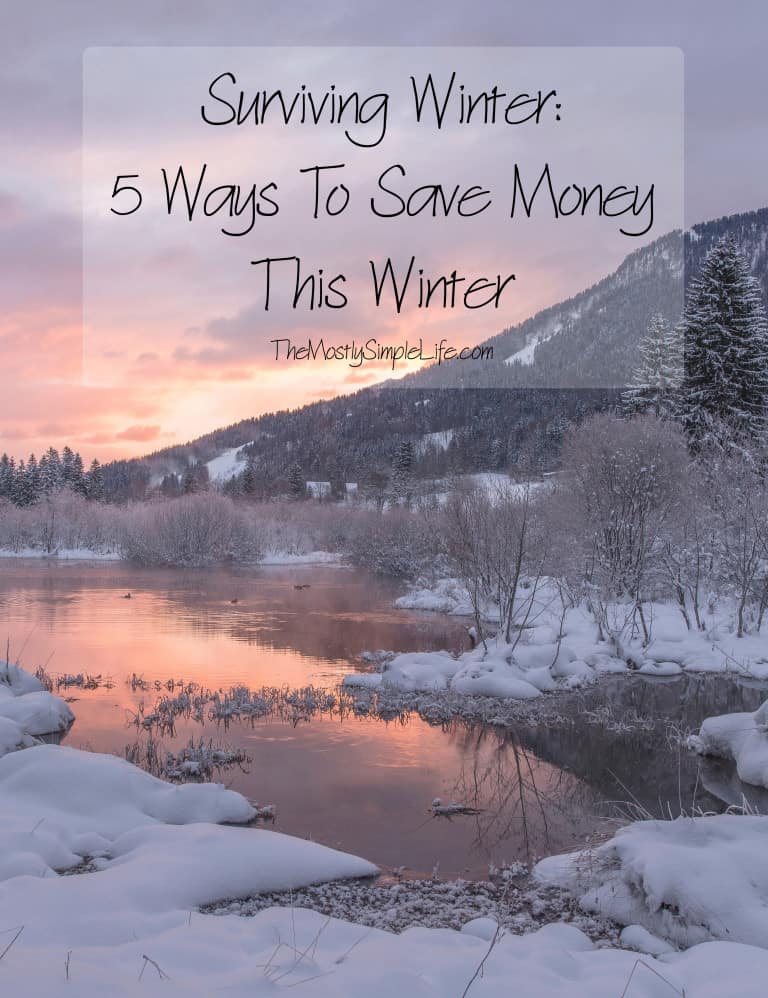 Surviving Winter: 5 Ways to Save Money This Winter - The (mostly ...