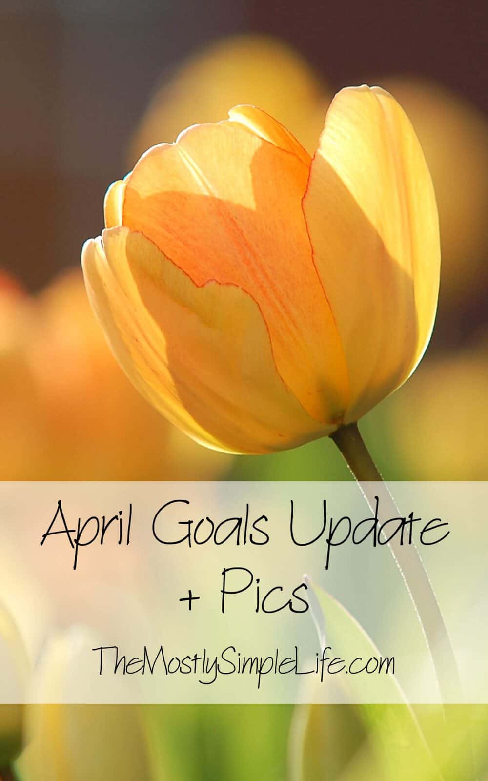 April Goals Update + Pics - The (mostly) Simple Life