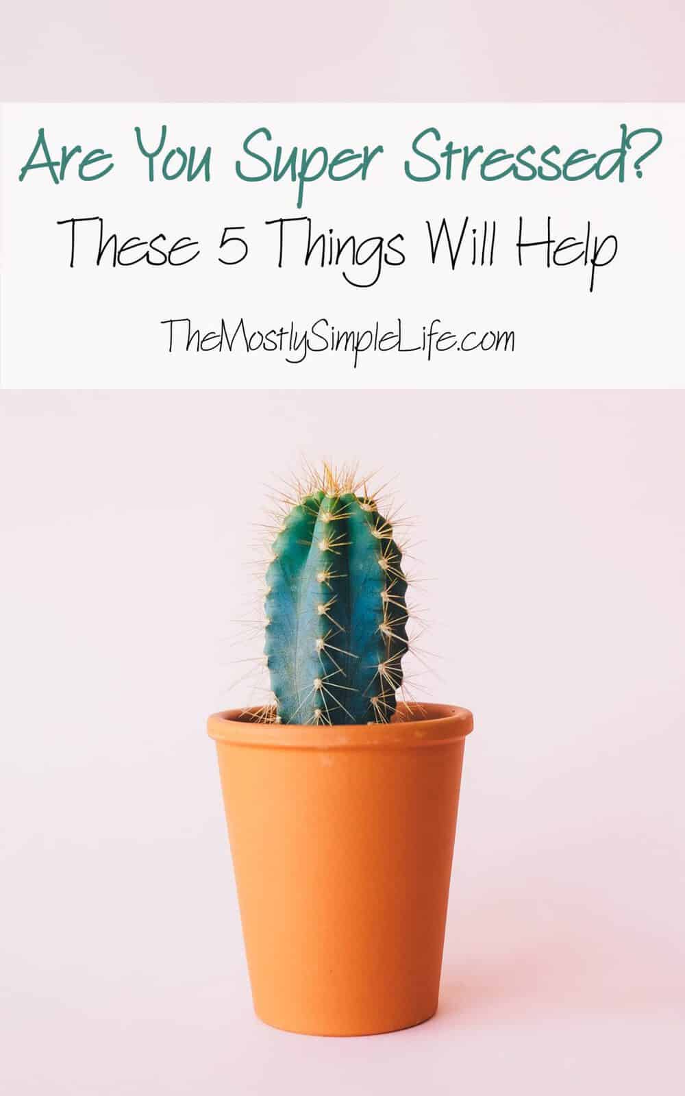 5 Strategies for Dealing with Stress - The (mostly) Simple Life