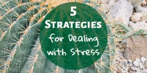 5 Strategies for Dealing with Stress - The (mostly) Simple Life
