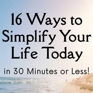 Top Simple Living Posts of 2016 - The (mostly) Simple Life
