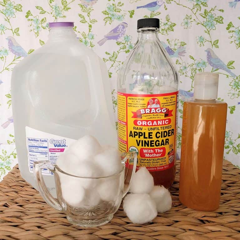 The Natural Secret to Great Skin: ACV Toner - The (mostly) Simple Life