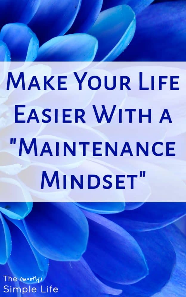 Make Your Life Easier With a "Maintenance Mindset" - The (mostly ...
