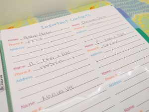 DIY Homemaking Binder - The (mostly) Simple Life