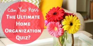 Can You Pass the Ultimate Home Organization Quiz? Answer These 3 ...