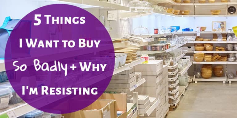 5 Things I Want to Buy So Badly + Why I'm Resisting - The (mostly ...