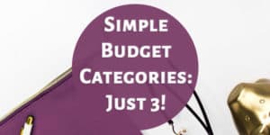 Simple Budget Categories: Just 3! - The (mostly) Simple Life