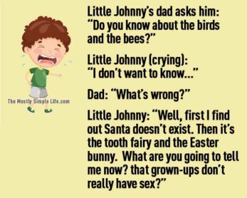 35 Best Little Johnny Jokes & Memes [2023 update] - The (mostly) Simple ...
