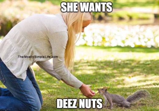 30 Funniest Deez Nuts Memes [Updated Jan 2023]