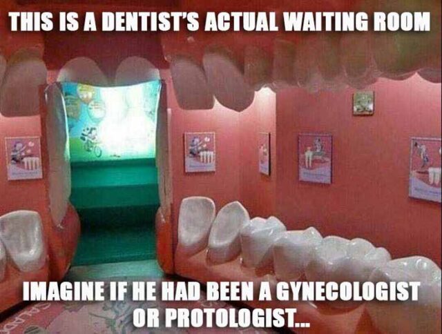 71 Best Dentist Jokes & Memes That Won't Hurt - The (mostly) Simple Life