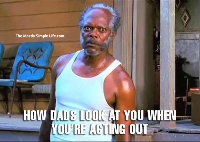 35 Funniest Dad Memes (And Dirty Dad Memes!) - The (mostly) Simple Life
