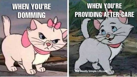 50 Kinky Memes That’ll Make You Moan and Giggle