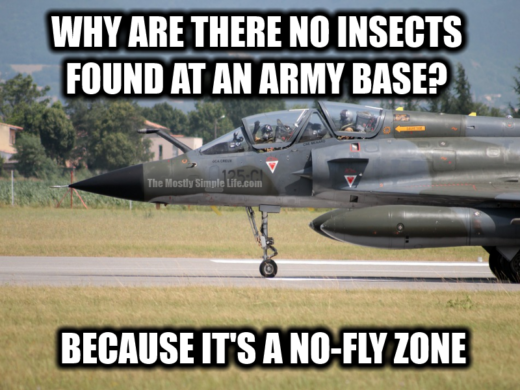 40 Best Military Jokes & Memes - The (mostly) Simple Life