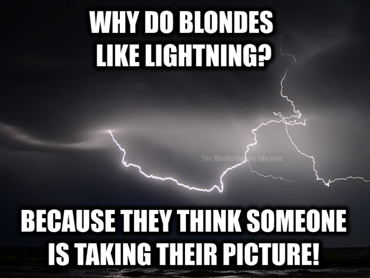 60 Best Blonde Jokes & Memes [2023 Update]