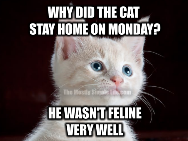 60 Funniest Monday Jokes to Make Your Colleagues Laugh - The (mostly ...