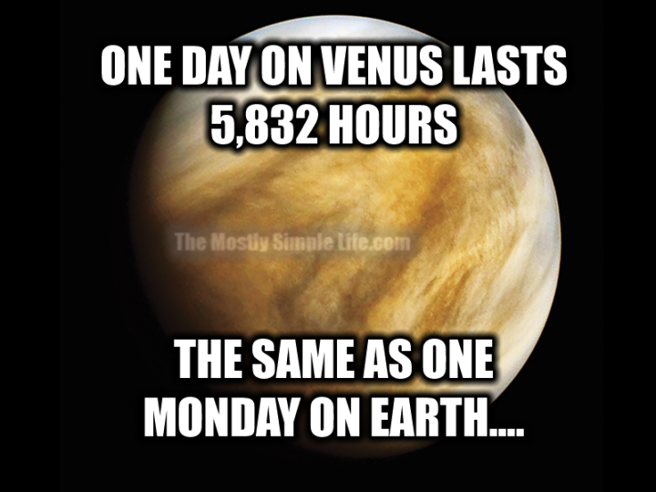 60 Funniest Monday Jokes to Make Your Colleagues Laugh - The (mostly ...