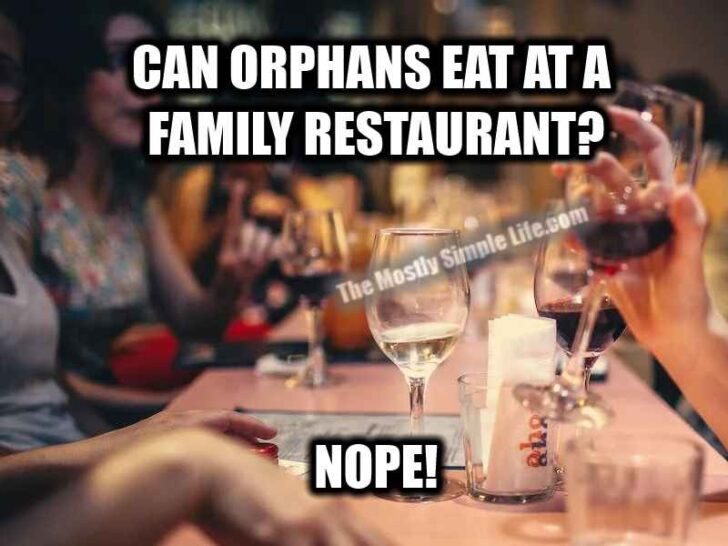 101 Best Orphan Jokes and Memes [April 2023 Update]
