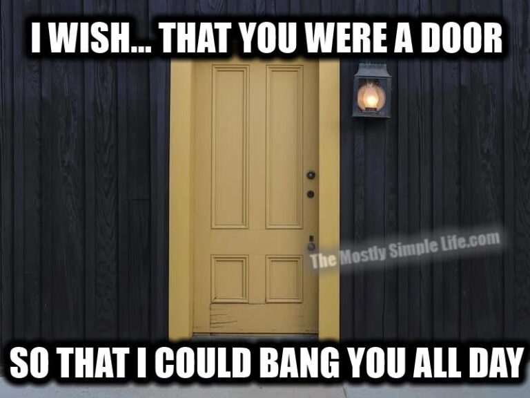 60 Funny Dirty Memes [With Exclusives] - The (mostly) Simple Life