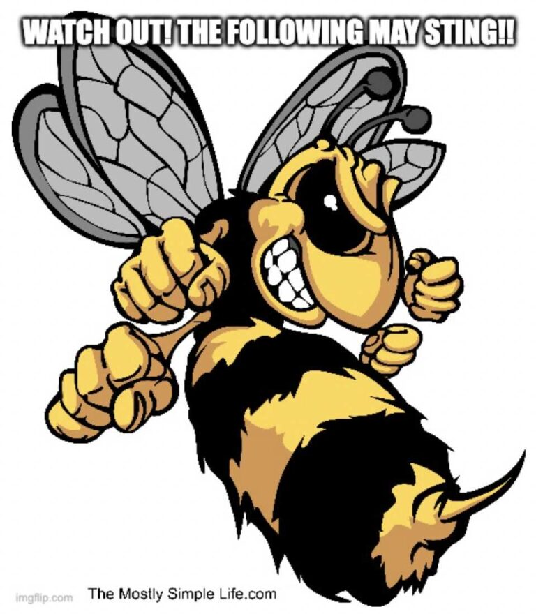 70 Best Mean and Insulting Jokes - The (mostly) Simple Life