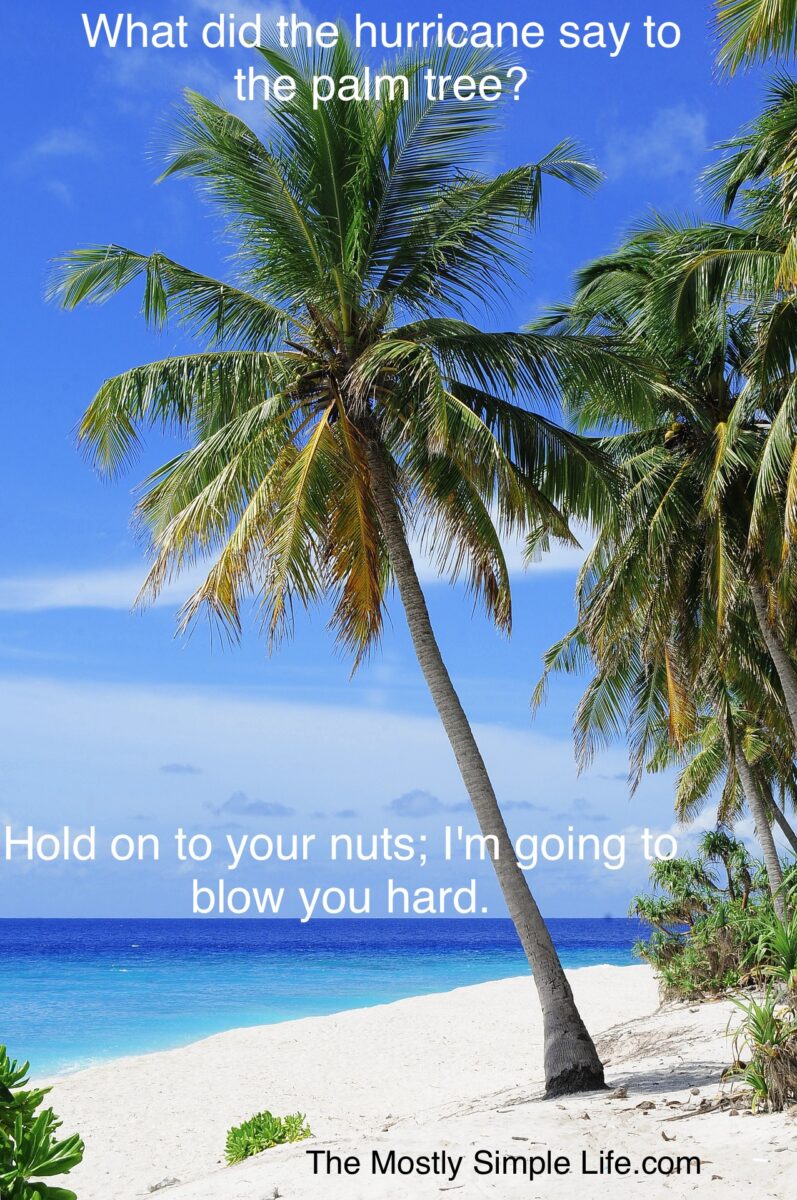 Best 60 Food Jokes For Adults - The (mostly) Simple Life