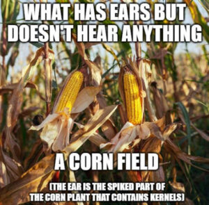 50 Best Food Jokes For Children to Share with the Family - The (mostly ...