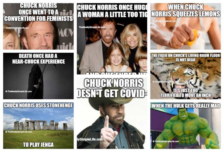 25 Funniest Chuck Norris Memes - The (mostly) Simple Life