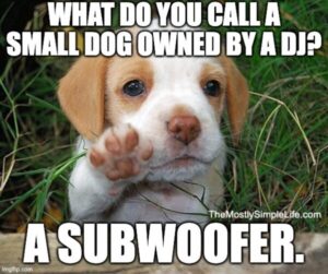 Spinning Laughter: 80 Greatest DJ Jokes and Memes - The (mostly) Simple ...