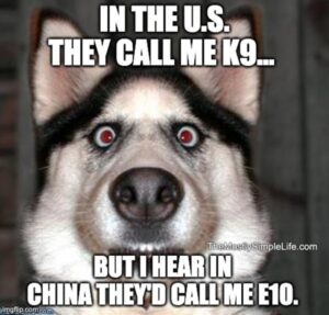 70 Best Chinese Jokes That You Will Ever Read (Funny but Respectful)