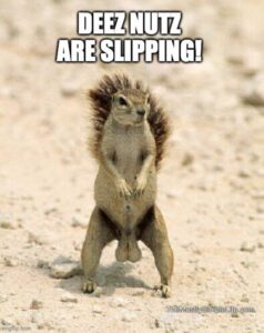 30 Best Ligma Jokes & Memes - The (mostly) Simple Life